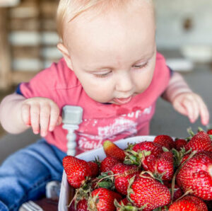 Patterson Farm Market & Tours | Growing Healthy Traditions
