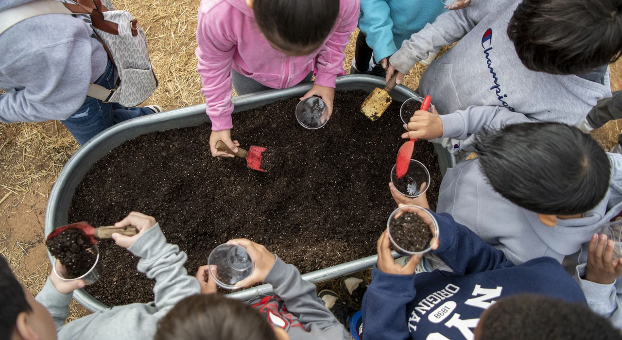 Why January Is the Perfect Time to Book a Class Field Trip | Patterson ...